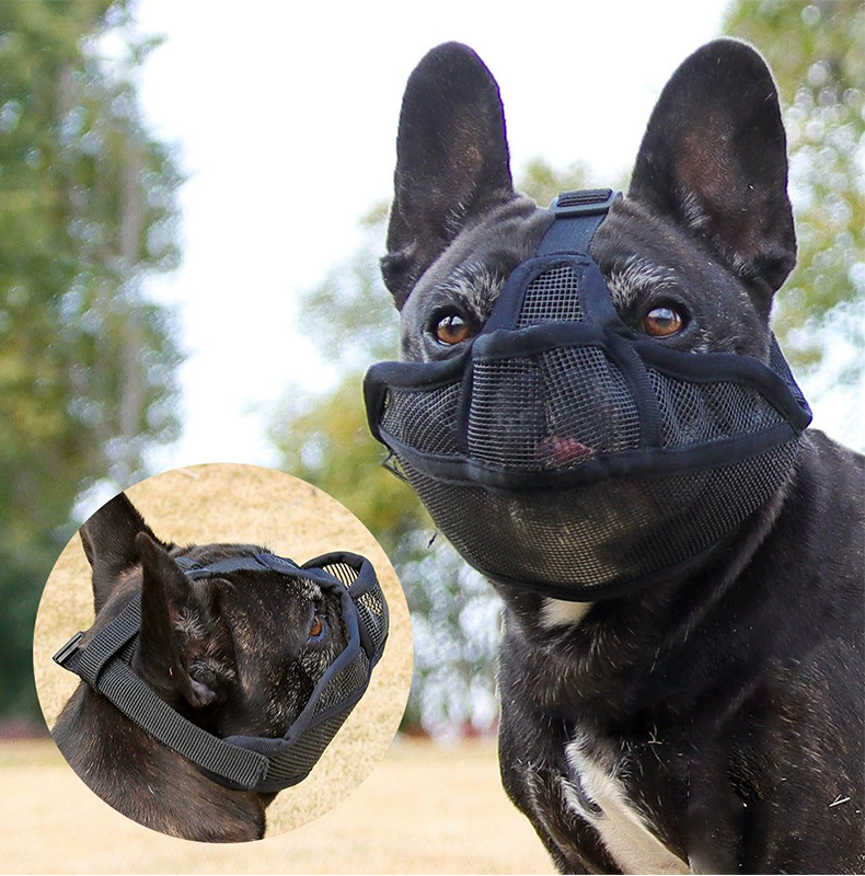 Upgrade Breathable Muzzle - Allows Drinking & Movement – Frenchiely