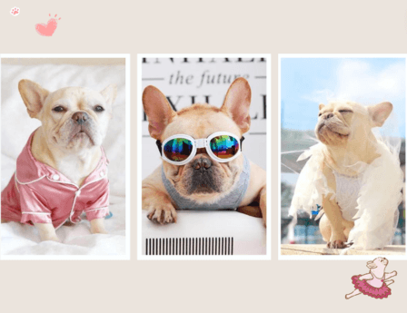 Dog Skeleton Costume – Frenchiely