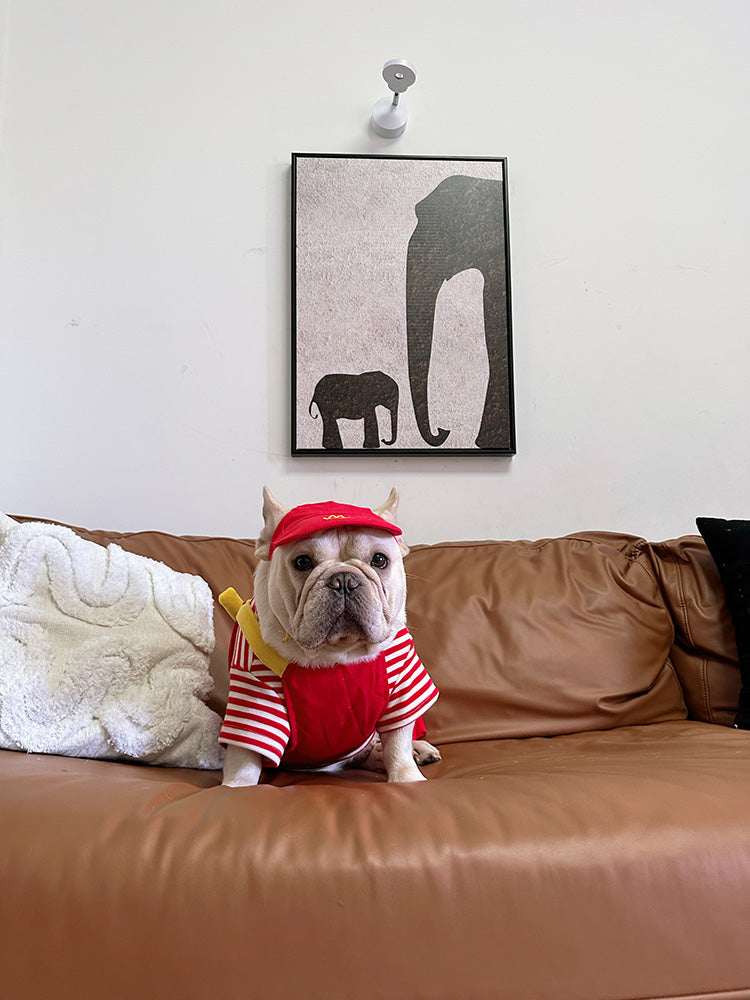 Dog Funny Mc Donalds' Costume Onesie with Hat | Dog Boutique – Frenchiely