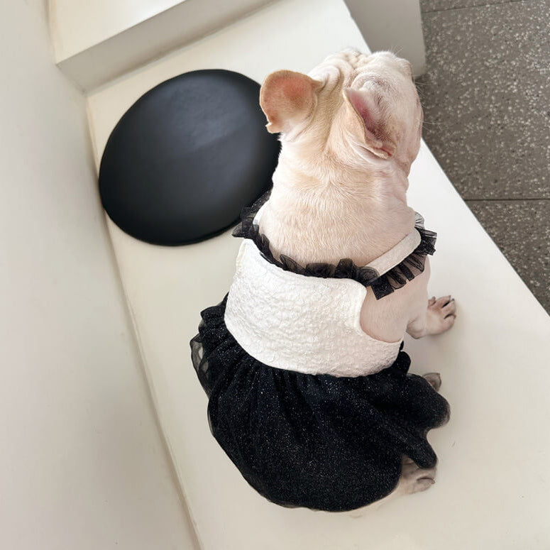 Dog Black and White Classic Dress | Female Dog Clothes Online – Frenchiely