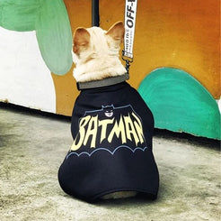 Dog Halloween Batman Costume | Frenchie Costume Ideas |Pet Cosplay ...