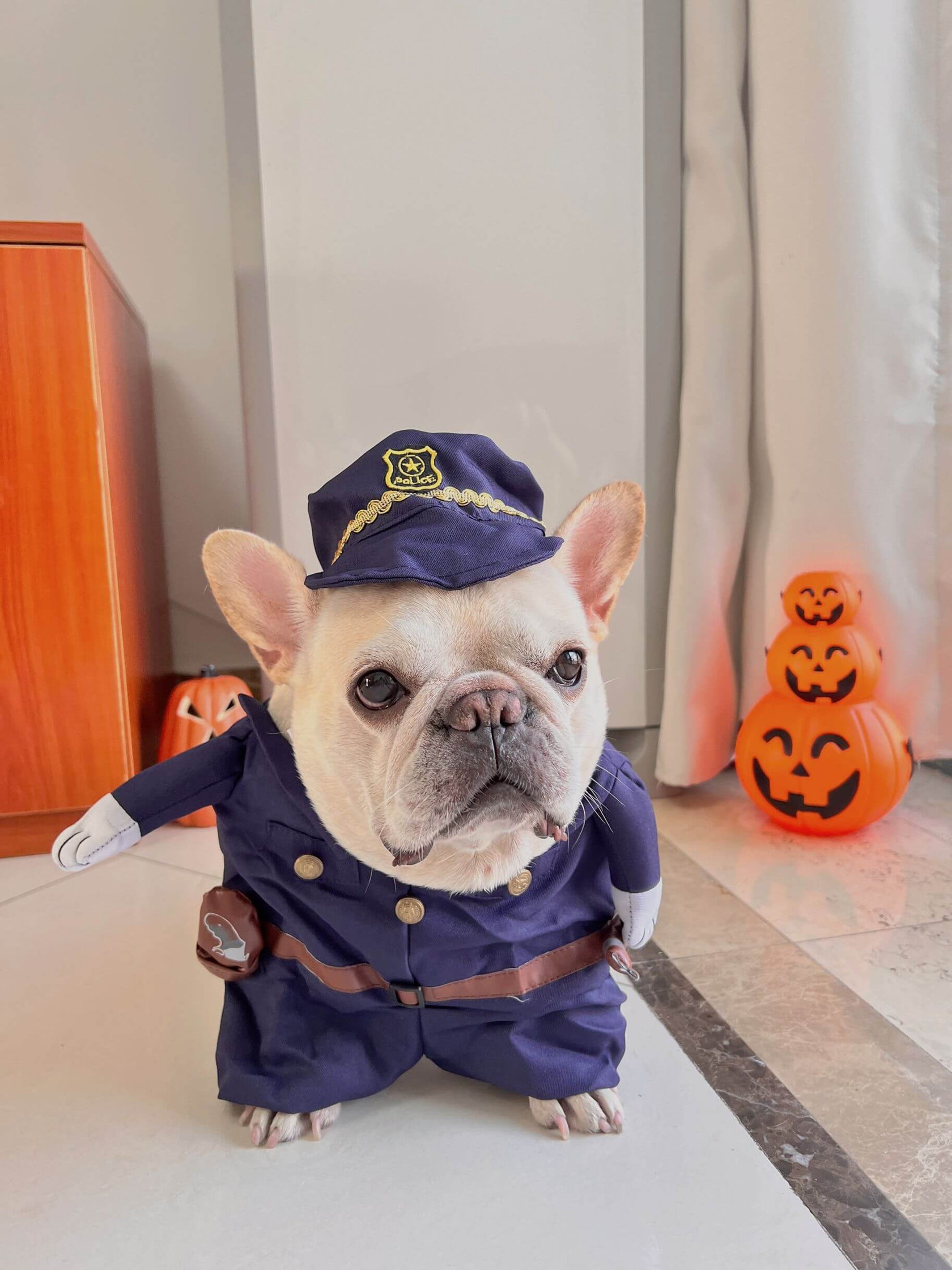 Funny Dog Police Costume for Small Medium Dogs | Free Shipping – Frenchiely