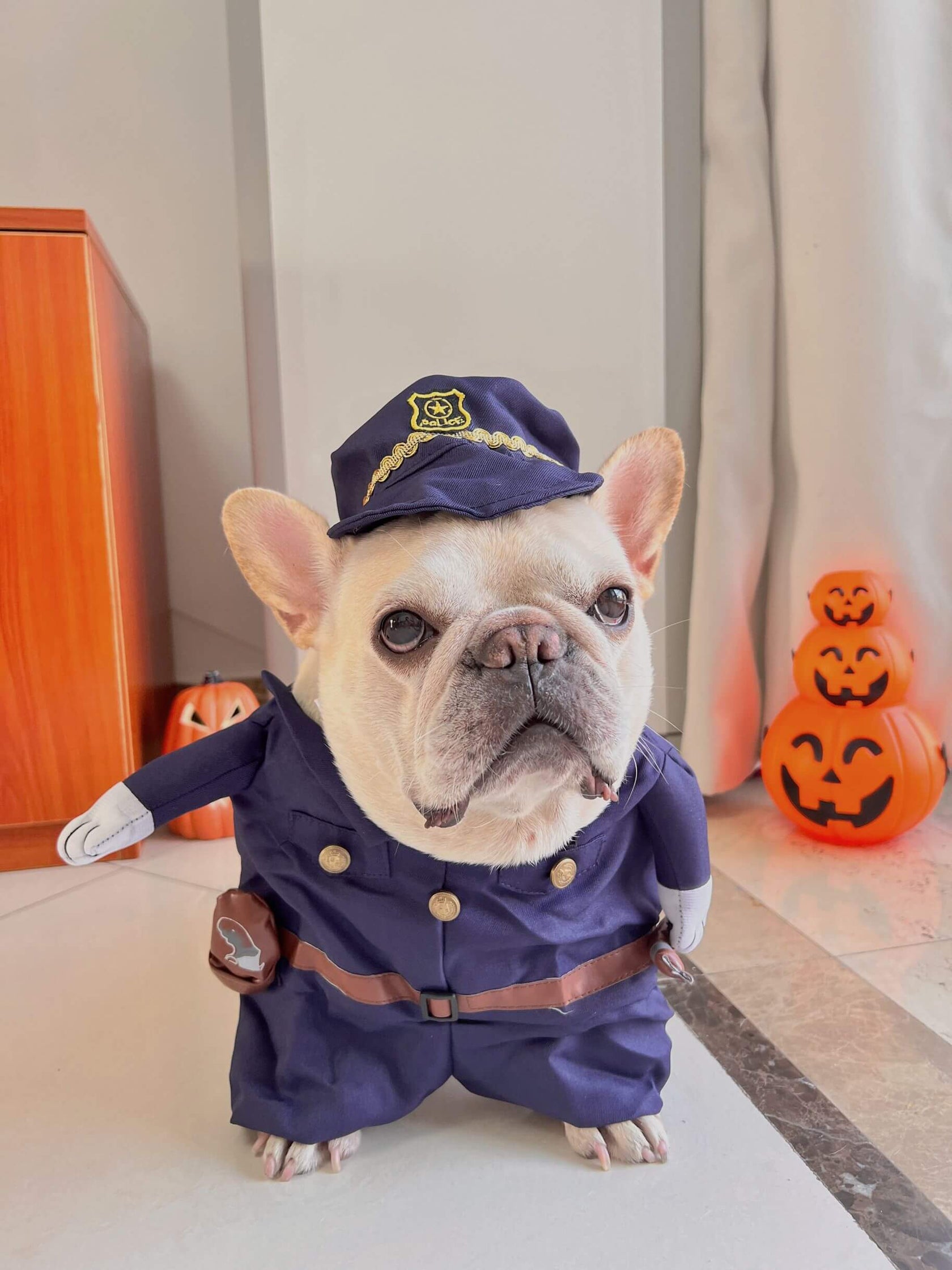 Funny Dog Police Costume for Small Medium Dogs | Free Shipping – Frenchiely