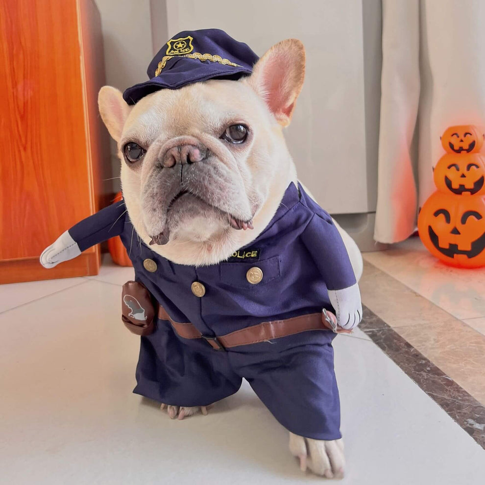 Funny Dog Police Costume for Small Medium Dogs | Free Shipping – Frenchiely