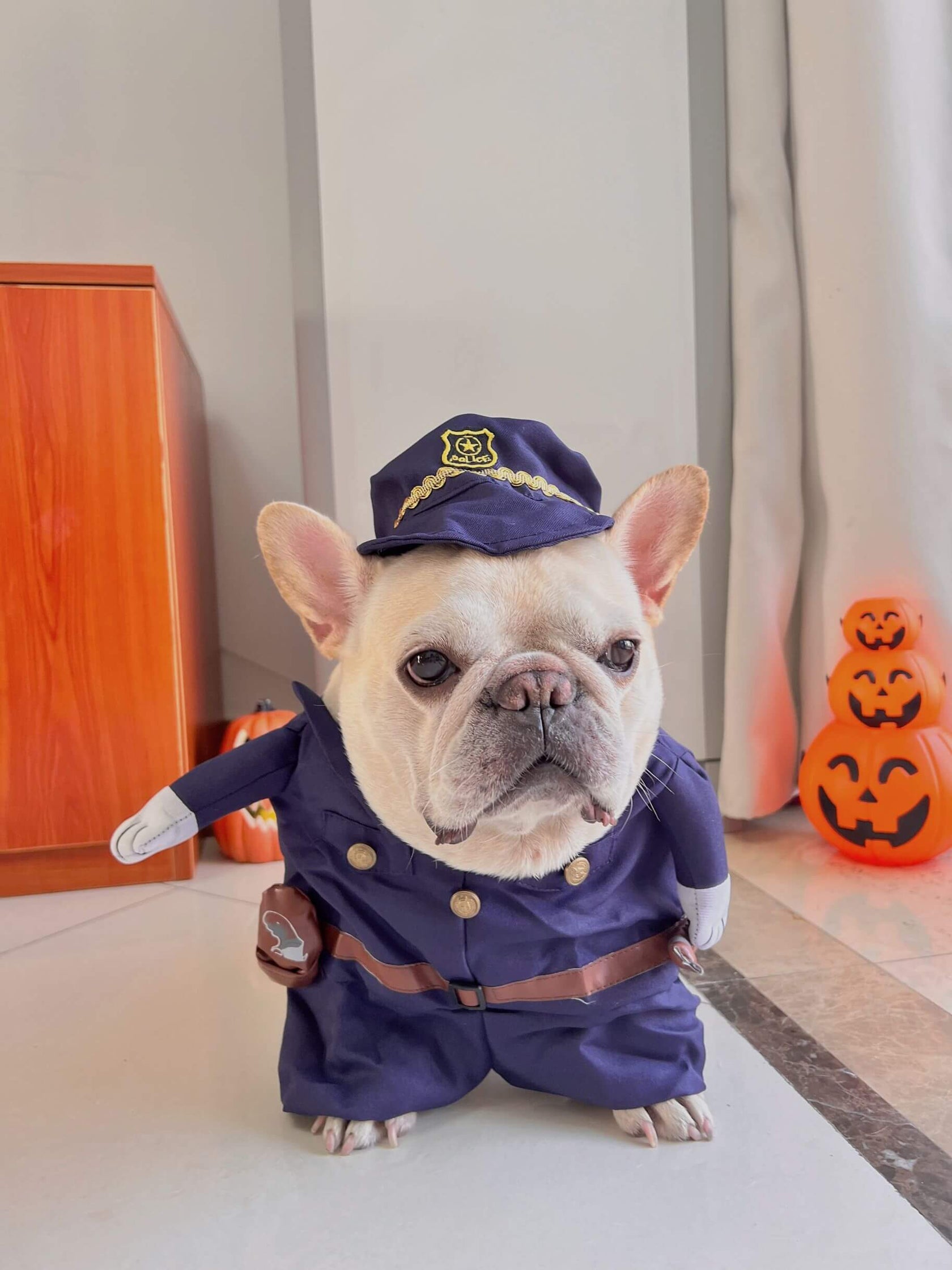 Funny Dog Police Costume for Small Medium Dogs | Free Shipping – Frenchiely