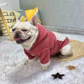Fluffy Warm Dog Jacket Coat for Frenchies | French Bulldog Fashion ...