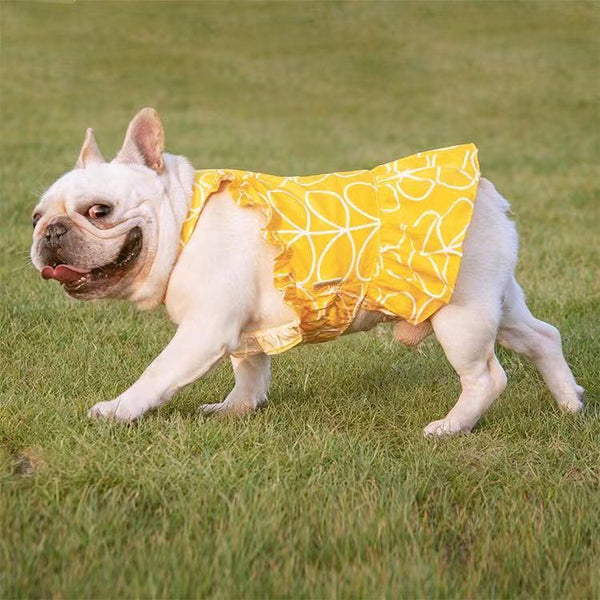 French Bulldog Summer Dress | Frenchie Clothing Shop – Frenchiely