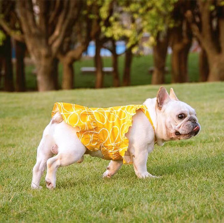 French Bulldog Summer Dress | Frenchie Clothing Shop – Frenchiely
