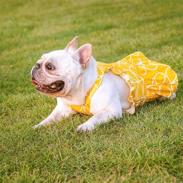 French Bulldog Summer Dress | Frenchie Clothing Shop – Frenchiely