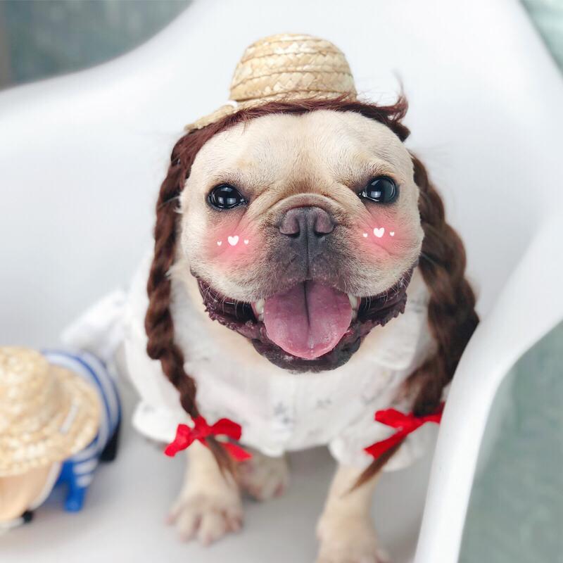 Dog Summer Straw Hat Cap for Medium Dogs | Dog Sun Protection Hat ...