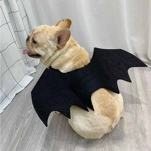 Dog Bat Halloween Costume | Dog Costume Shop Online – Frenchiely