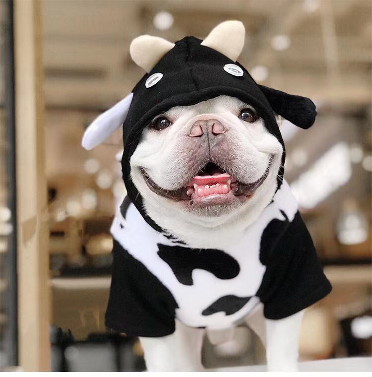 Dog Cow Costumes with Bag – Frenchiely
