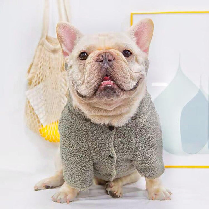 Fluffy Hoodie Coat with Pocket for Medium Dogs | Frenchie Company ...