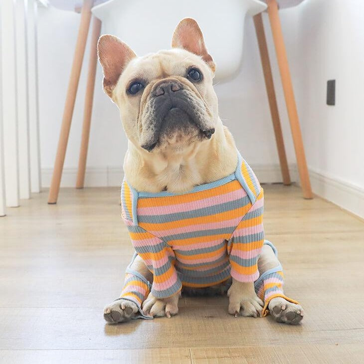 Dog Stretchy Striped Pajamas | Bulldog Clothing Store – Frenchiely
