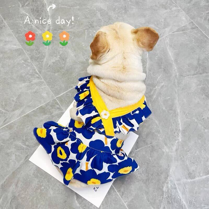 Dog Blue Floral Dress | Online dog clothes shopping – Frenchiely
