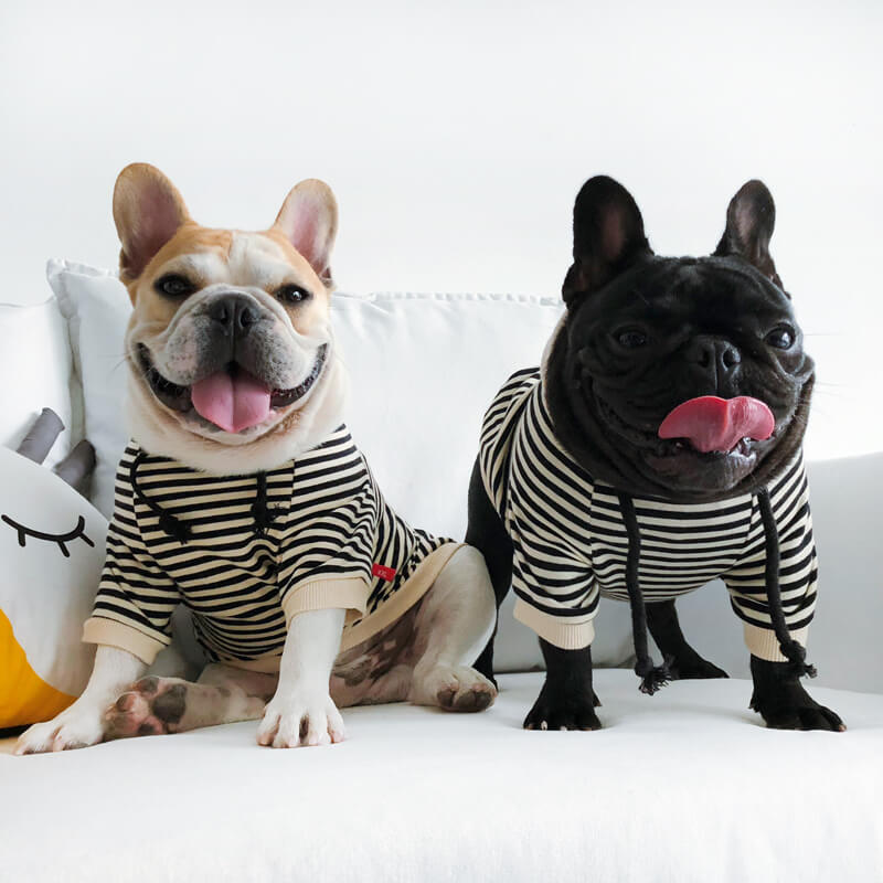 Matching Outfits for You and Your Dog | Bulldog Clothes | Frenchiely