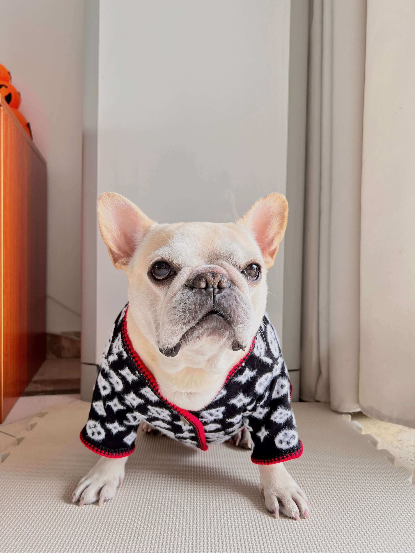 Dog Black & Red Cardigan | Dog coats dunnes stores – Frenchiely