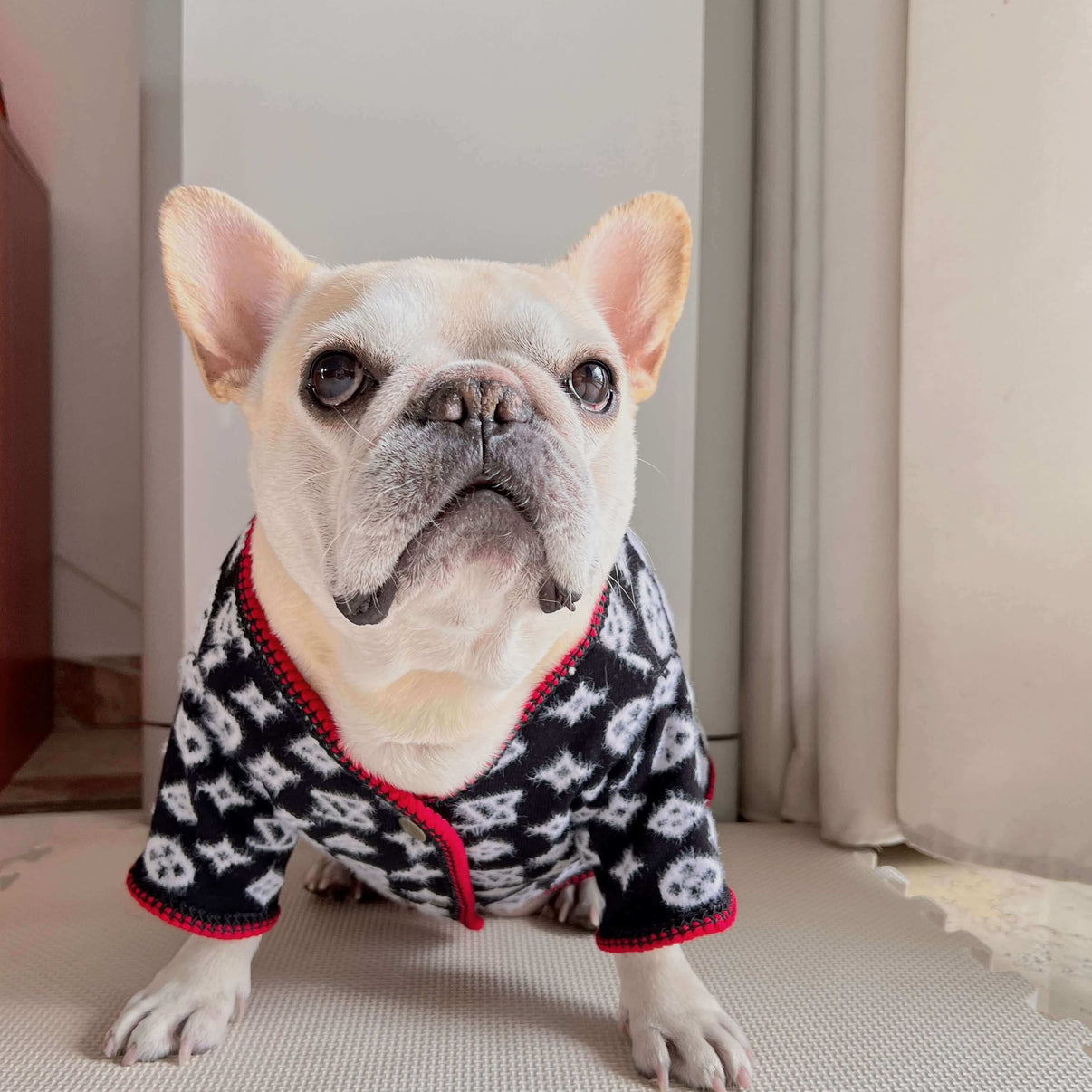 Dog Black & Red Cardigan | Dog coats dunnes stores – Frenchiely