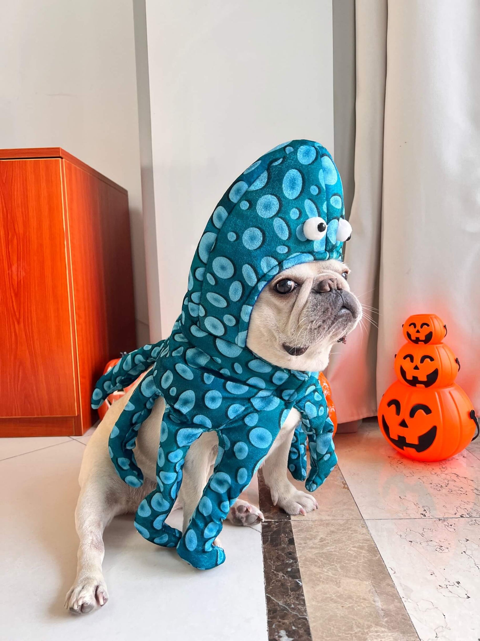 dog octopus costume | Dog Halloween Costume Store | Free Shipping ...