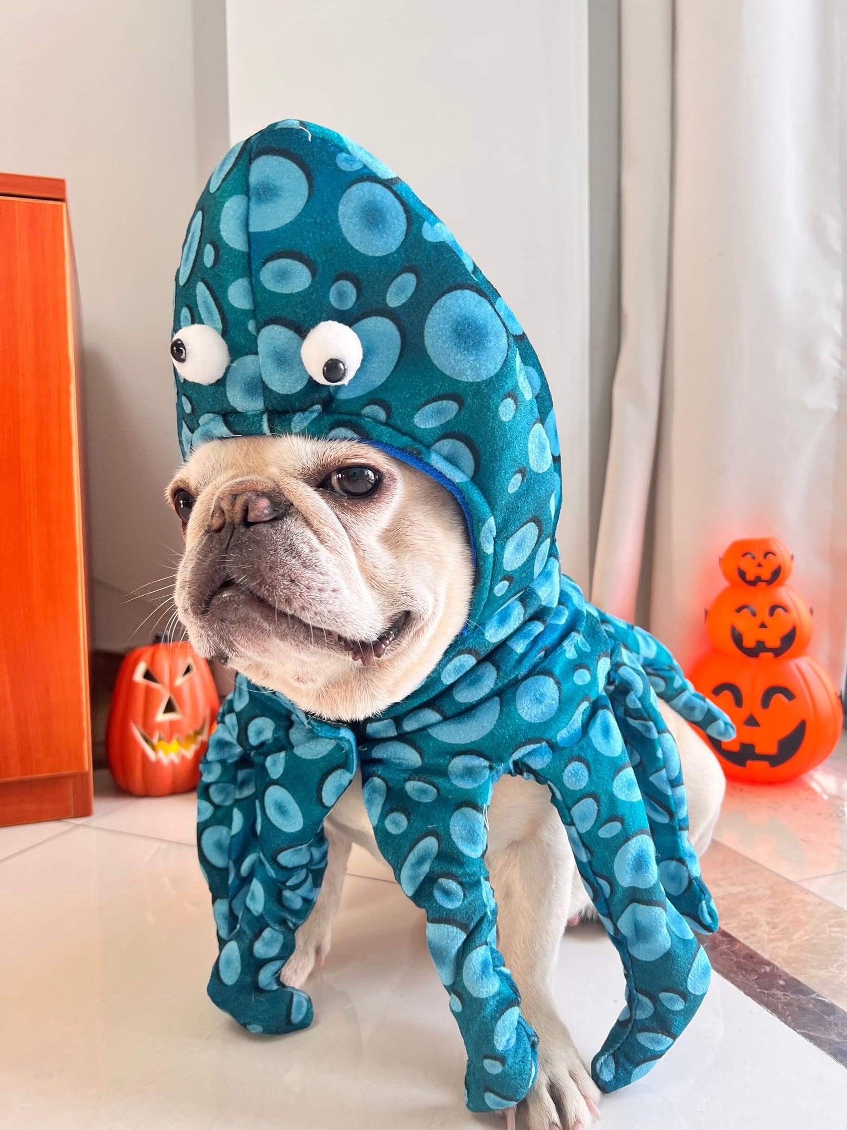 dog octopus costume | Dog Halloween Costume Store | Free Shipping ...