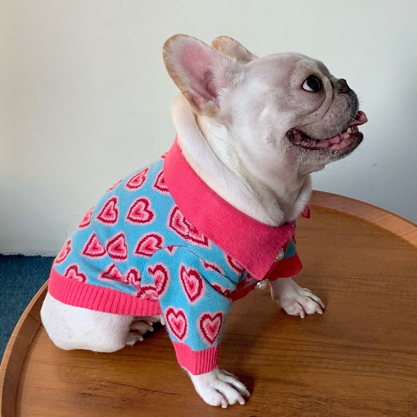 Dog Red Sweater with Heart Patterns for Female Dog Breeds | 60% OFF ...