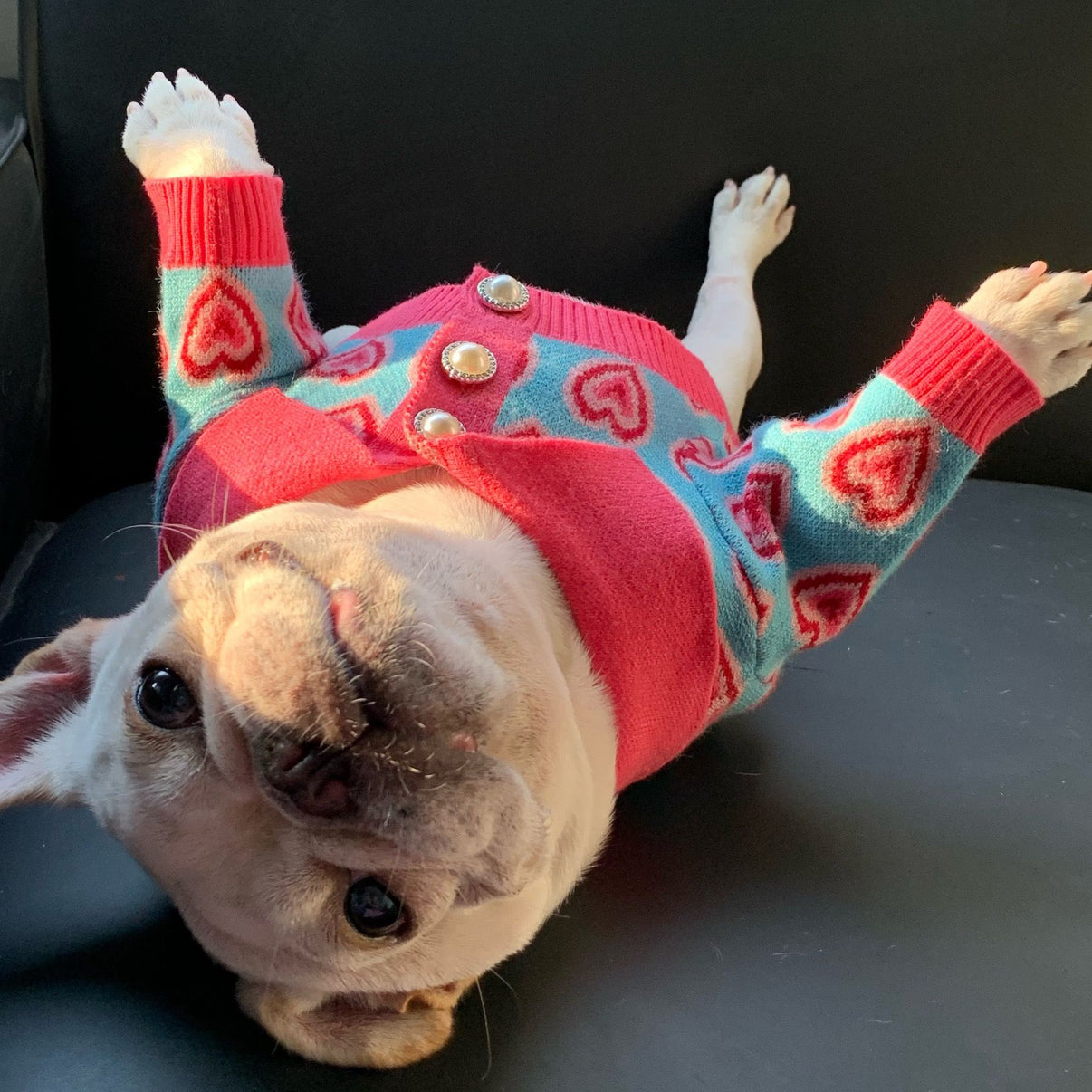 Dog Red Sweater with Heart Patterns for Female Dog Breeds | 60% OFF ...