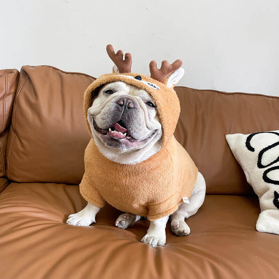 Dog Reindeer Hoodie Costume | Dog Clothes Designer | Free Shipping ...