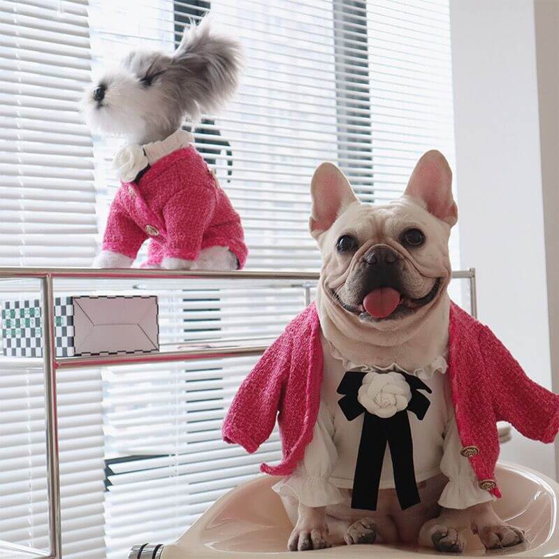 Dog Rose Red Coat for Medium Dogs | Frenchie Clothes Shop – Frenchiely