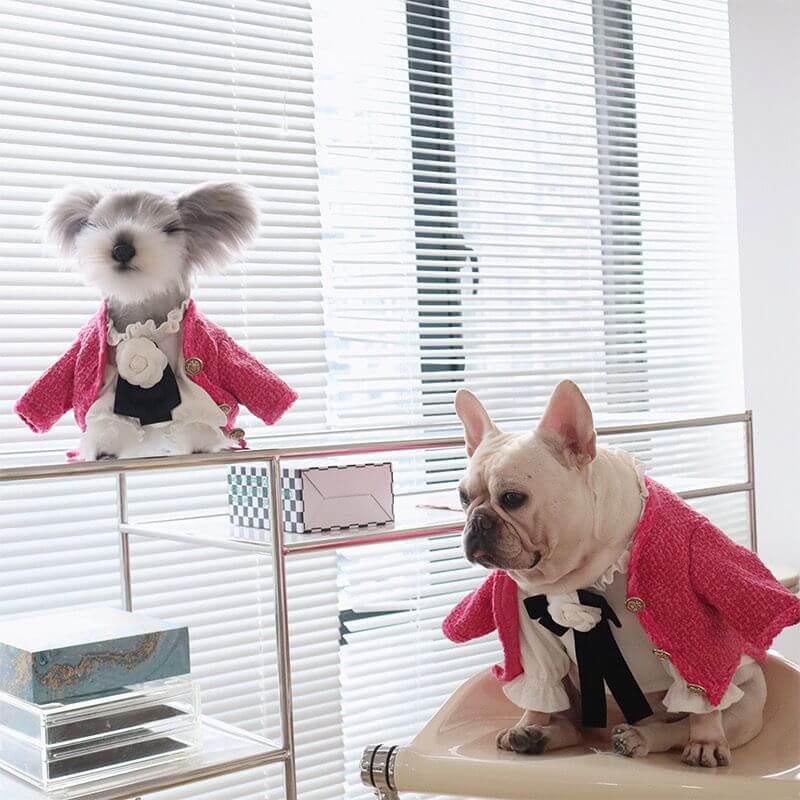 Dog Rose Red Coat for Medium Dogs | Frenchie Clothes Shop – Frenchiely