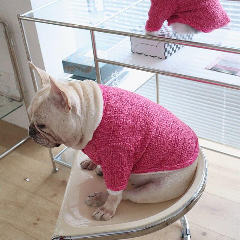 Dog Rose Red Coat for Medium Dogs | Frenchie Clothes Shop – Frenchiely