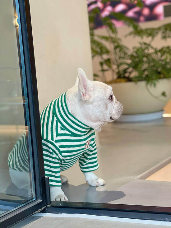 Medium Dog Stripe Shirt | Dog Store Fashion Show Mall – Frenchiely