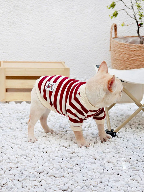 Dog Stripe Sweatshirt |Dog Clothes Bulk | Worldwide Shipping – Frenchiely