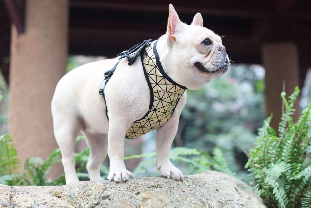 Batman Dog Accessories
