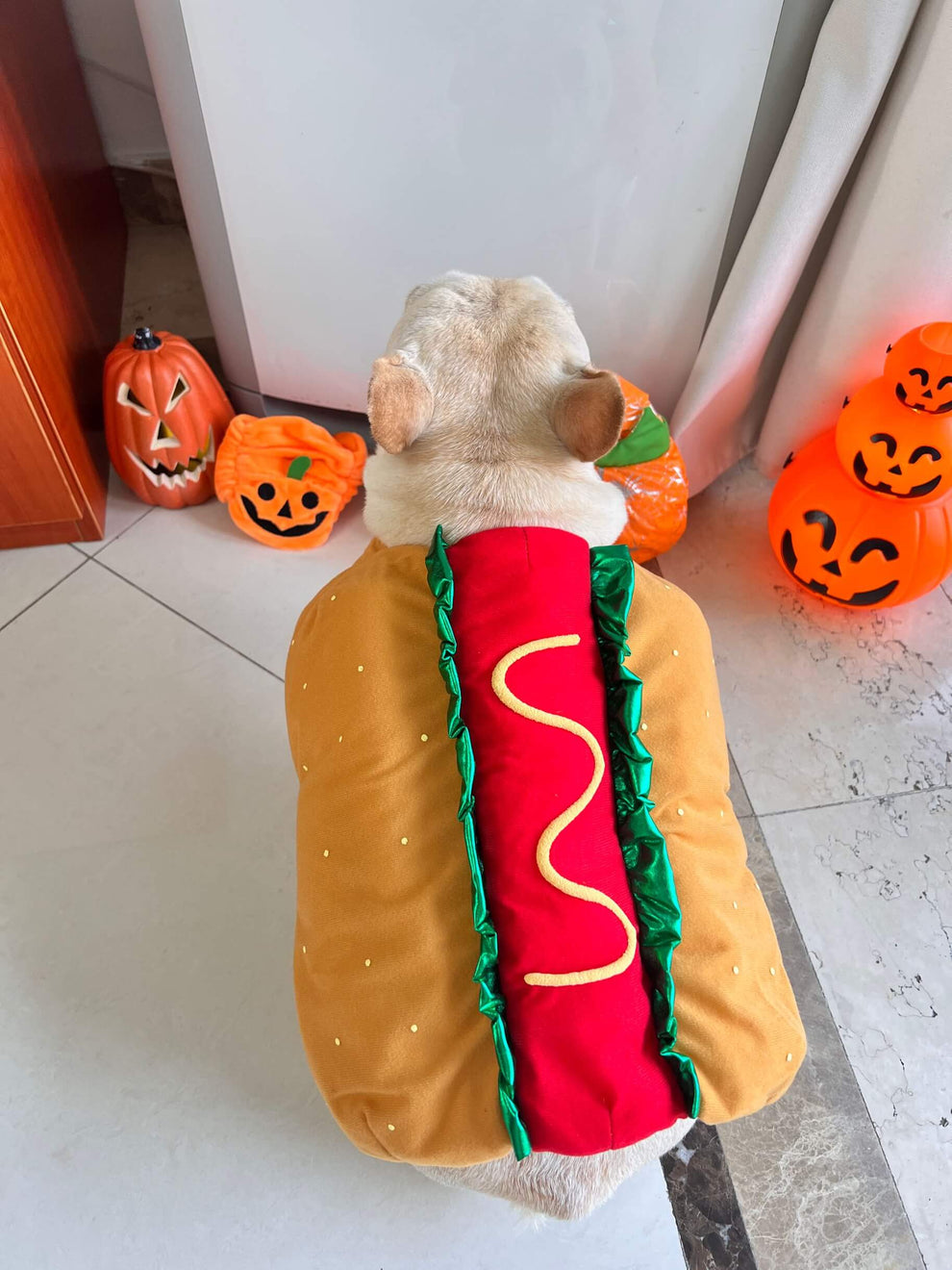 Dog Hot Dog Halloween Costume | French Bulldog Costume Shop – Frenchiely